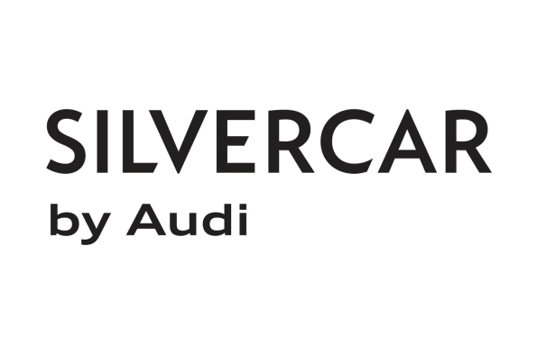 Silver Car Logo